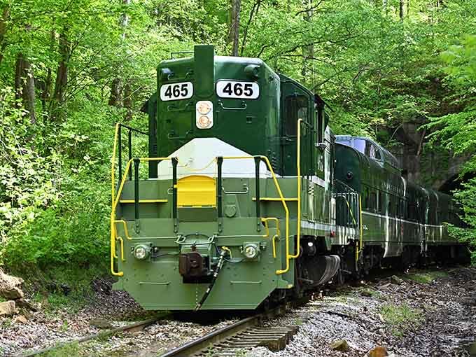 That green locomotive cutting through the forest isn't heading to Hogwarts, but it's equally magical in its own Hoosier way.