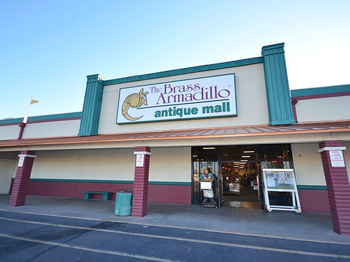 That cheerful armadillo logo promises treasures inside, and trust me, it delivers on every single promise.