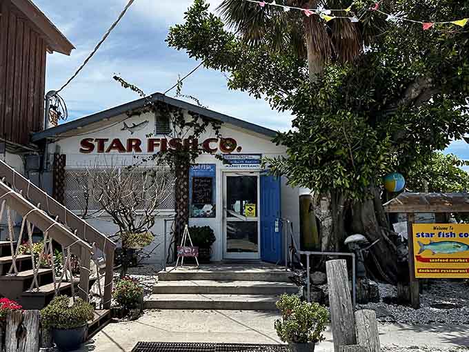 When your restaurant looks like it survived multiple hurricanes and kept serving grouper, you're doing something right.