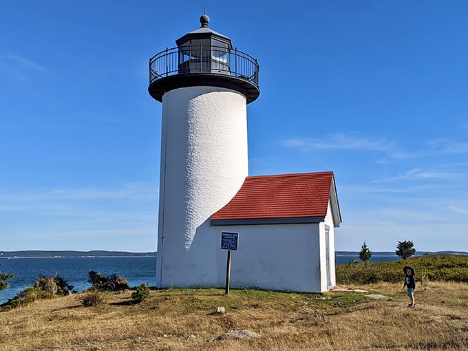 That white tower against the blue sky hits different when you've earned the view by boat.