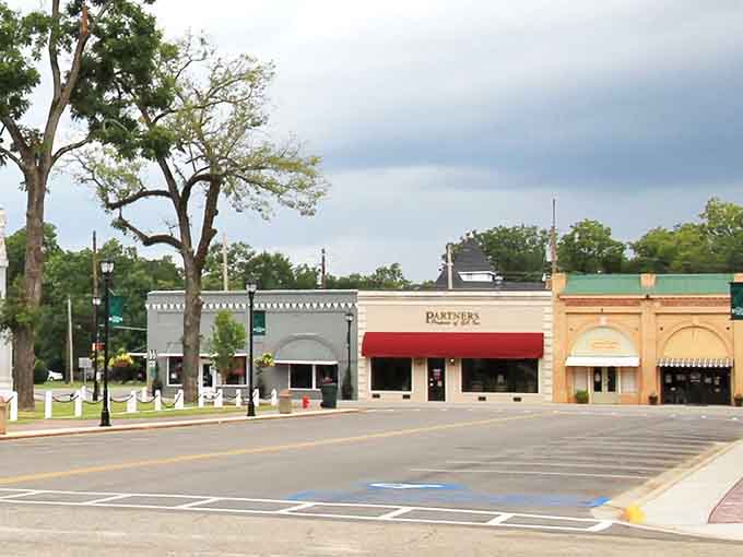 Downtown Ellaville proves that charm doesn't require a million-dollar budget or a Starbucks on every corner.