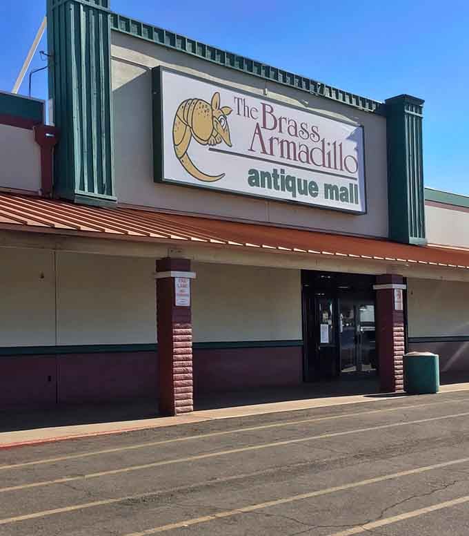 That cheerful armadillo logo promises treasures inside, and trust me, it delivers on every single promise.