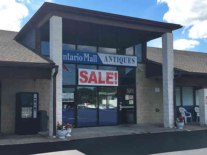 That "SALE!" sign isn't kidding around, your wallet's about to meet its match at this treasure trove.