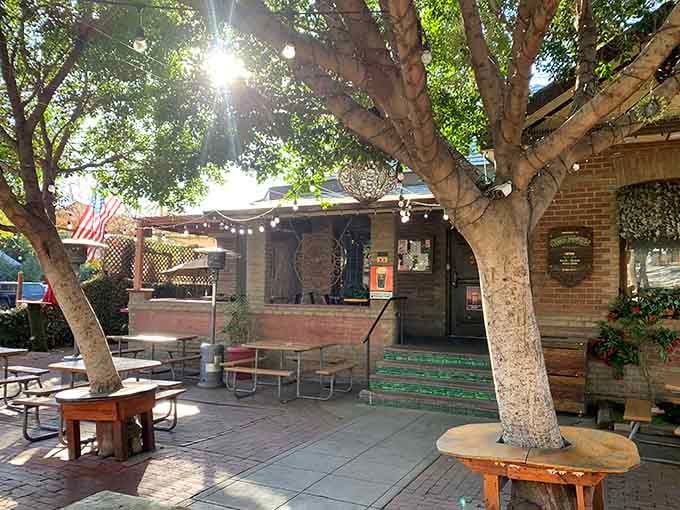 Sunlight filtering through ancient trees onto this Victorian patio feels like discovering a secret garden in suburbia.
