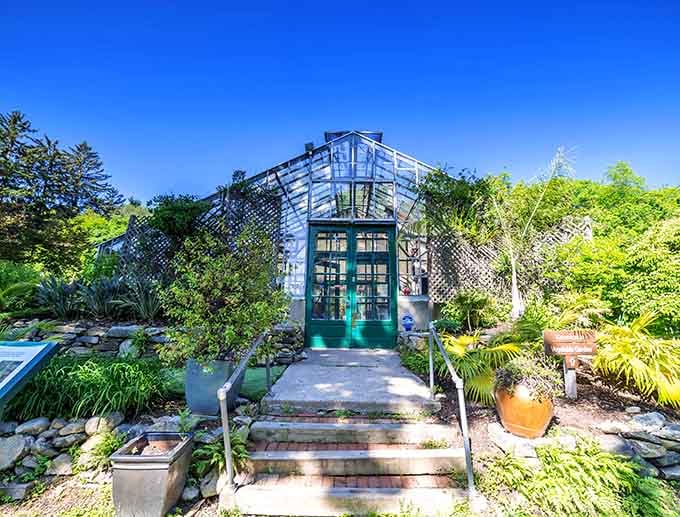 Step into this verdant oasis where exotic plants thrive and your stress melts faster than ice cream in July.