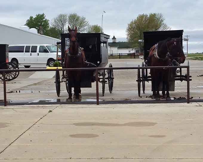 Downtown Arthur where horsepower still means actual horses, and parallel parking involves a hitching post instead of a meter.