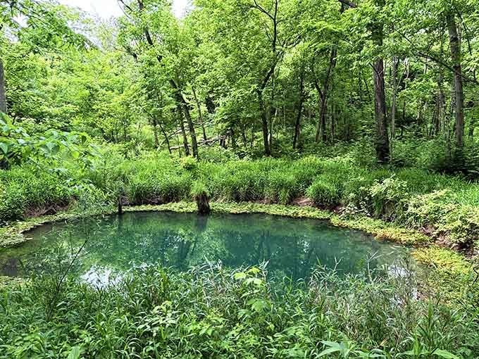 That impossibly blue-green water bubbling up from underground looks like nature's own infinity pool, minus the resort fees.