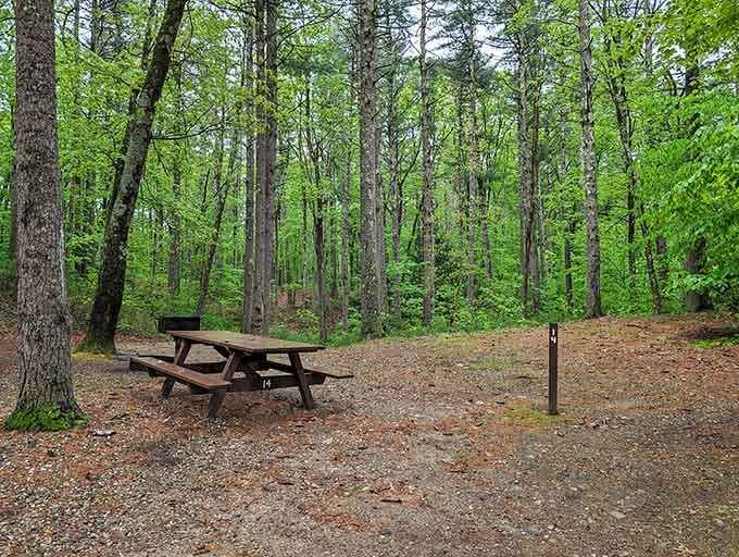 Spacious campsites tucked among the trees where your neighbors aren't close enough to borrow sugar.