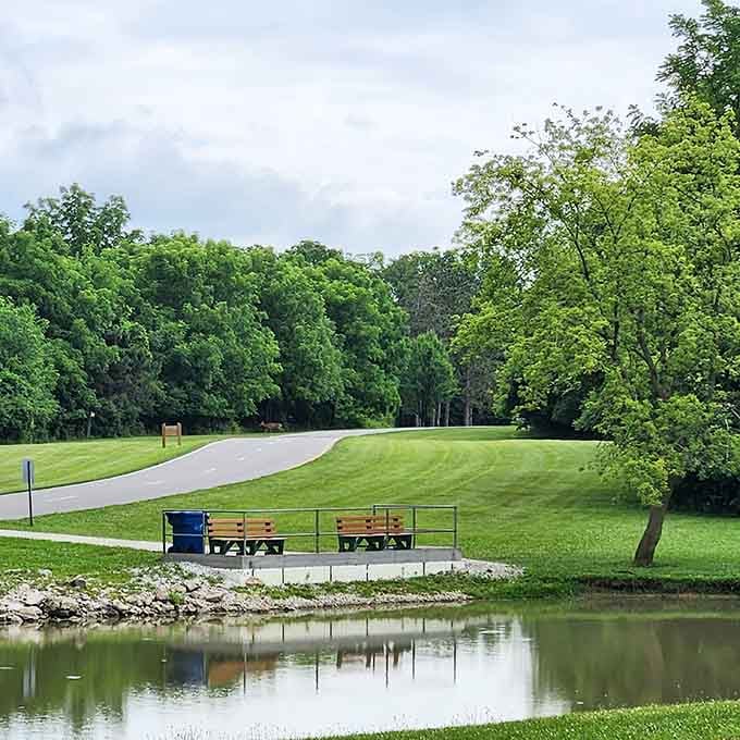 Those benches overlooking the pond know more secrets than a therapist's couch on a Monday morning.
