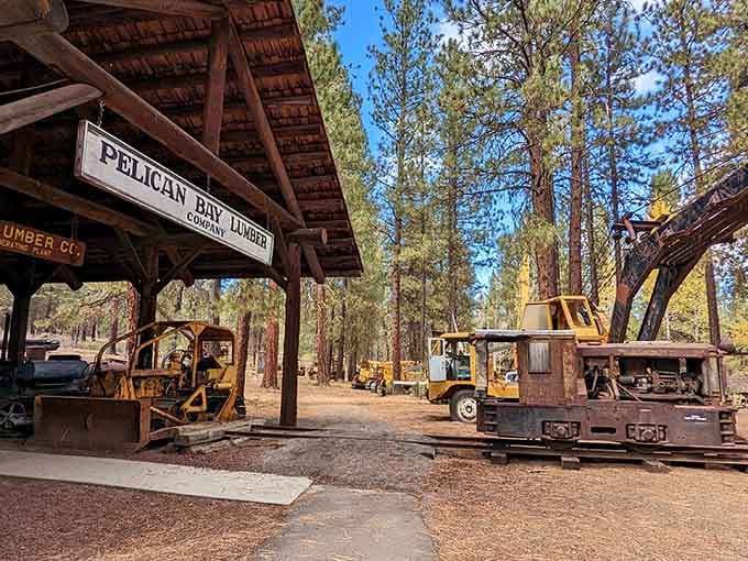 Where rusty yellow giants rest among the pines, telling stories your smartphone never could.