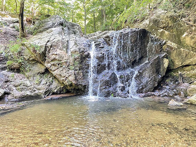 This little cascade might not rival Niagara, but it creates the perfect soundtrack for an afternoon of doing absolutely nothing productive.