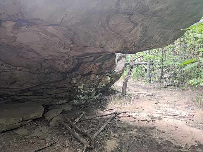 When Mother Nature carved out the perfect picnic shelter, complete with that dramatic overhang we'd all pay extra for.