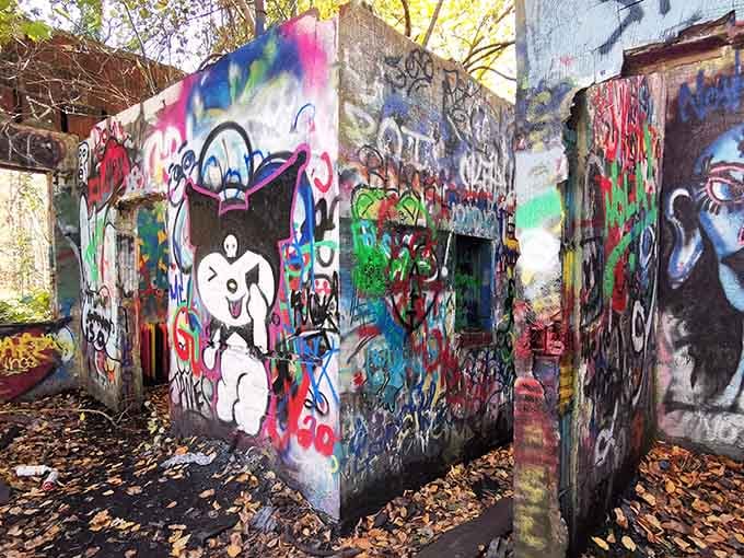 When abandoned greenhouses become outdoor galleries, you get this kaleidoscope of urban art nestled among fallen autumn leaves.