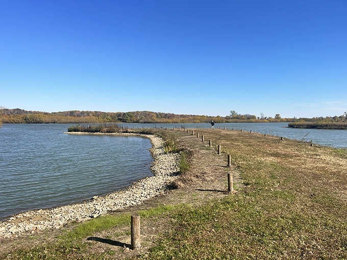 This peaceful shoreline proves that sometimes the best therapy involves water, sunshine, and absolutely zero cell service.