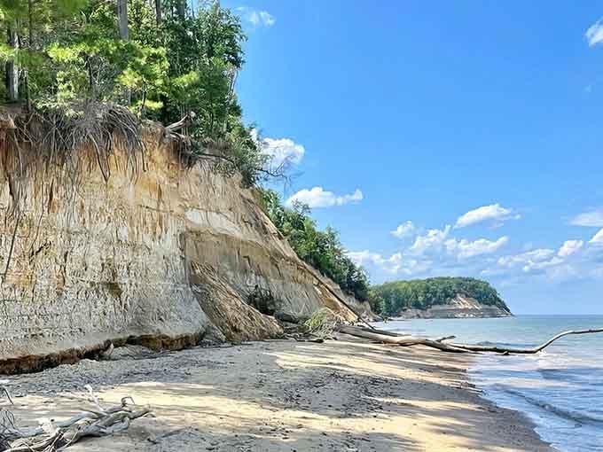 Nature's history book, written in layers of sand and time, revealing stories older than we can properly imagine.