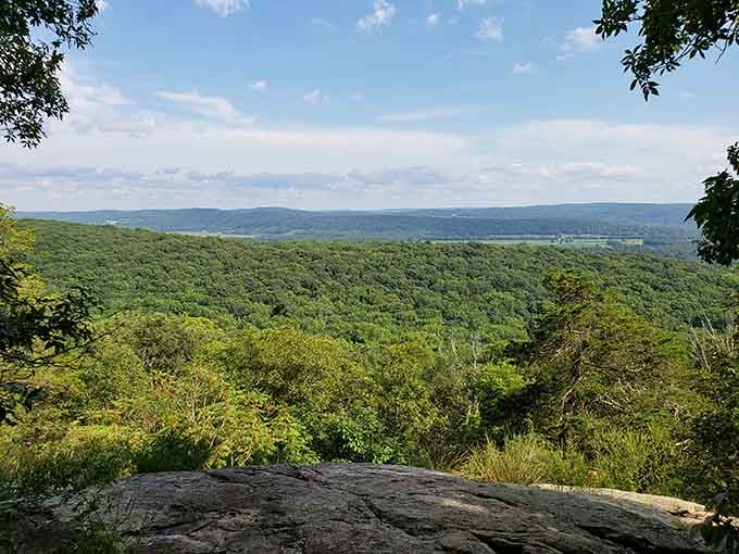 This is what you came for: endless forest views that remind you New Jersey has way more than turnpikes.