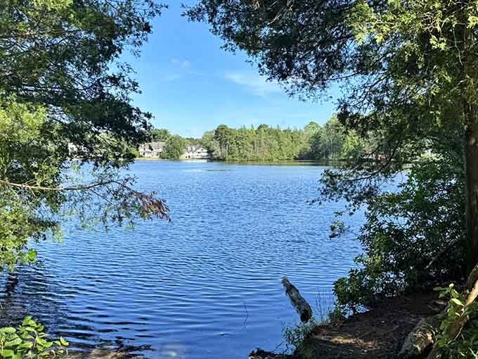 That tranquil surface practically begs you to cast a line and forget the world exists for a while.