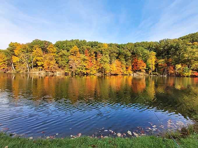 When fall decides to show off in Ohio, this is what happens: pure, unfiltered autumn magic.