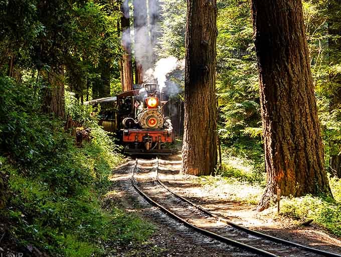 Nothing says "California dreaming" quite like a vintage steam engine threading through ancient redwoods like a time-traveling needle.