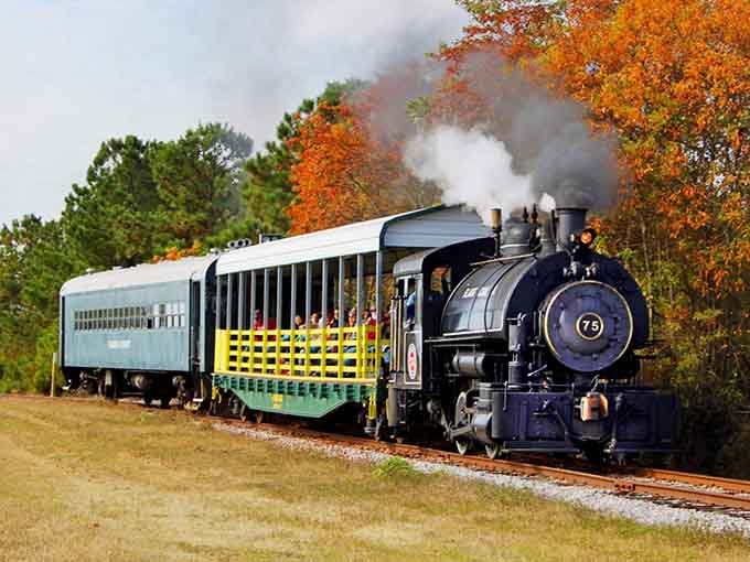 Steam billowing through fall foliage proves that some combinations are simply meant to be, like peanut butter and jelly on wheels.