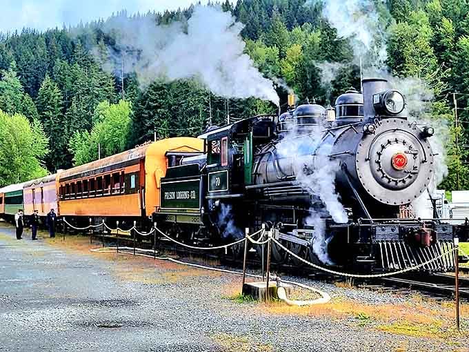Steam billowing, whistle calling, this magnificent beast of iron and fire awaits your boarding call.