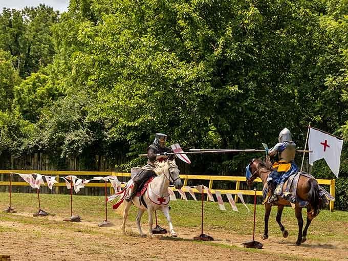 Watch as brave knights compete in a thrilling display of skill and pageantry at this charming and historical outdoor festival.