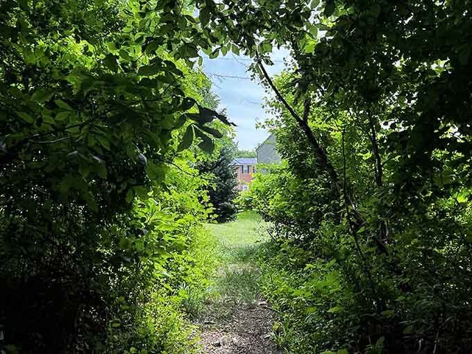 The trail opens up to reveal historic buildings framed by nature, like stumbling upon a secret chapter of Maryland's past.