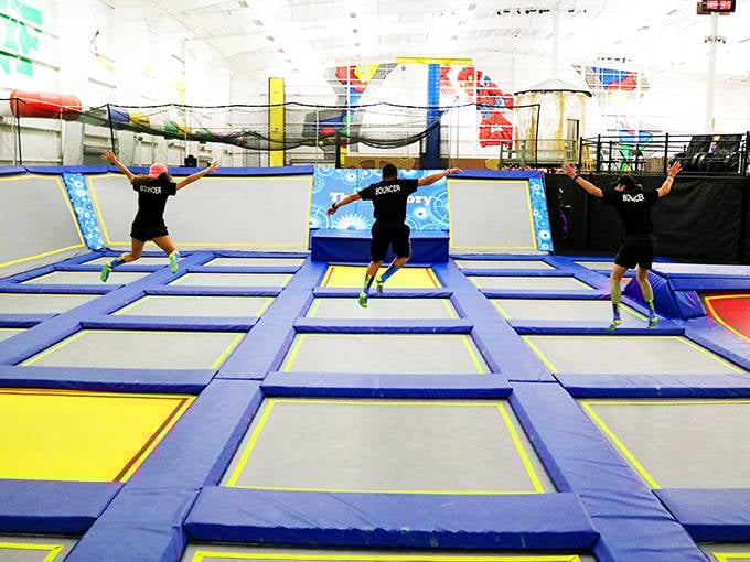 Three generations of bounce-ability captured in one frame, proving gravity is just a suggestion when trampolines are involved.