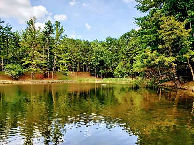 This tranquil lake mirrors the surrounding forest so perfectly, you'll wonder which side is real and which is reflection.