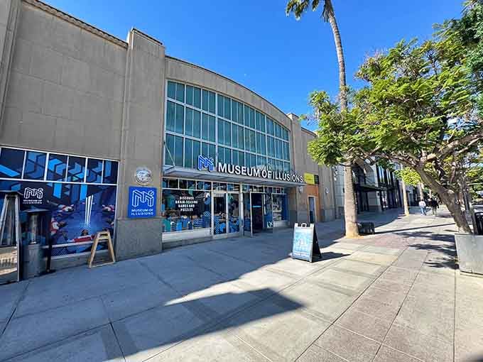 Palm trees and mind-bending fun coexist perfectly in this slice of Santa Monica's wonderfully weird landscape.
