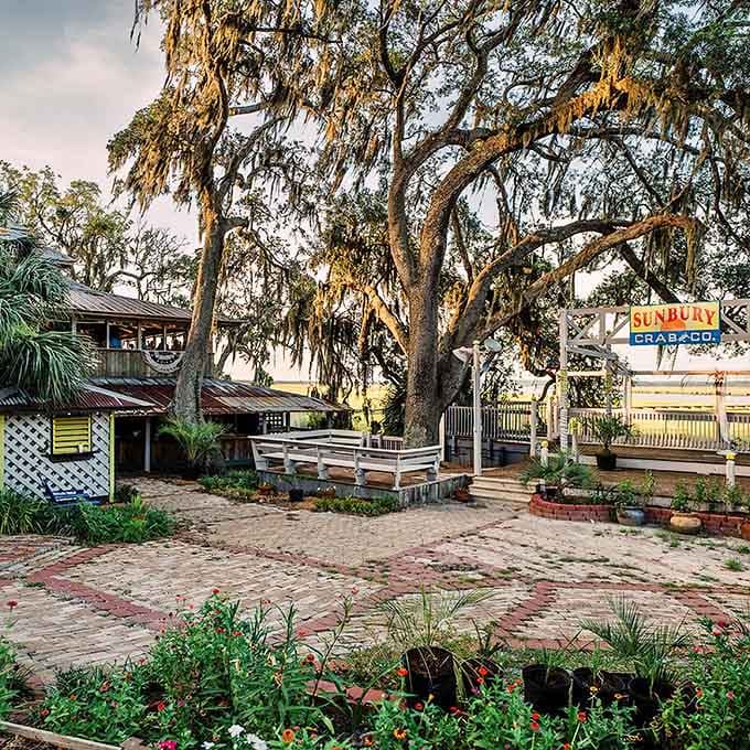 That magnificent oak tree has seen more satisfied seafood lovers than most restaurants serve in a lifetime of business.