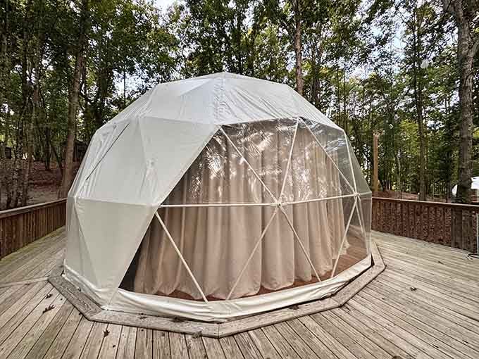 When your camping accommodation looks like it belongs on Mars, you know you've upgraded from your grandfather's tent.