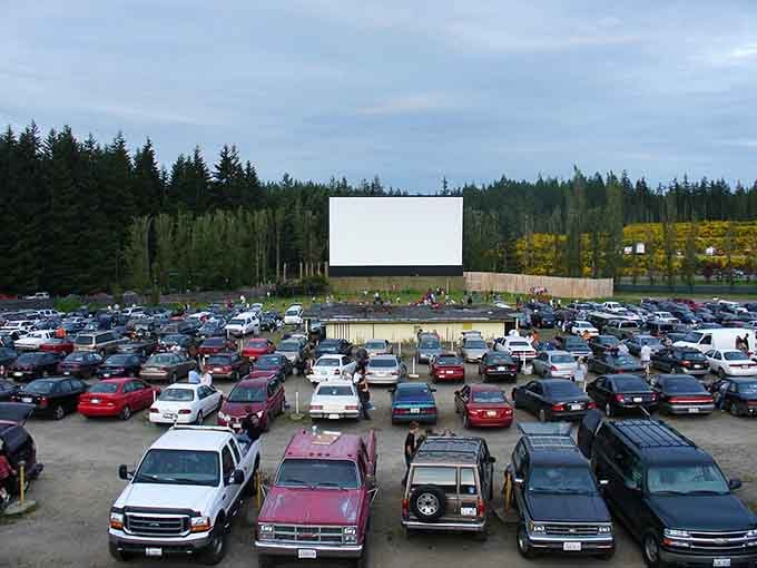 That massive screen rising against the evergreens is your portal to movie magic, Pacific Northwest style.