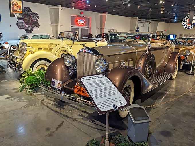 Chrome grilles gleaming like jewelry, these vintage Packards prove luxury once meant something truly special.