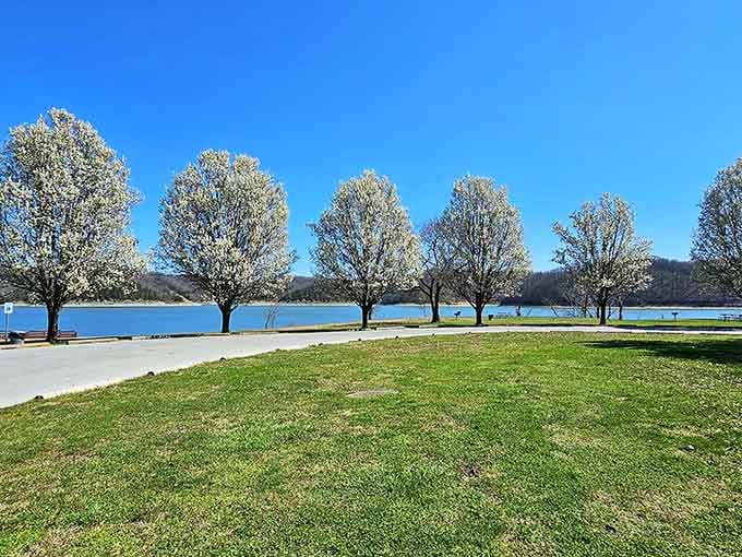 Those flowering trees lining the waterfront create a scene so perfect it almost looks Photoshopped, but it's gloriously real.