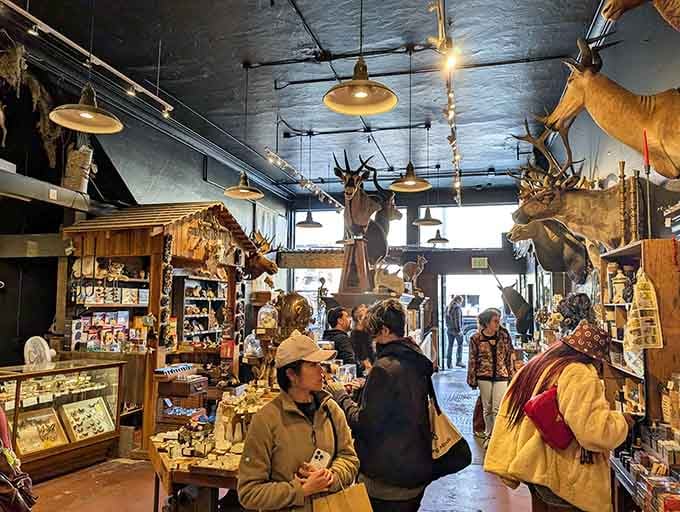 Look up and you'll spot taxidermied creatures overhead, creating the world's most fascinating traffic jam of natural history.