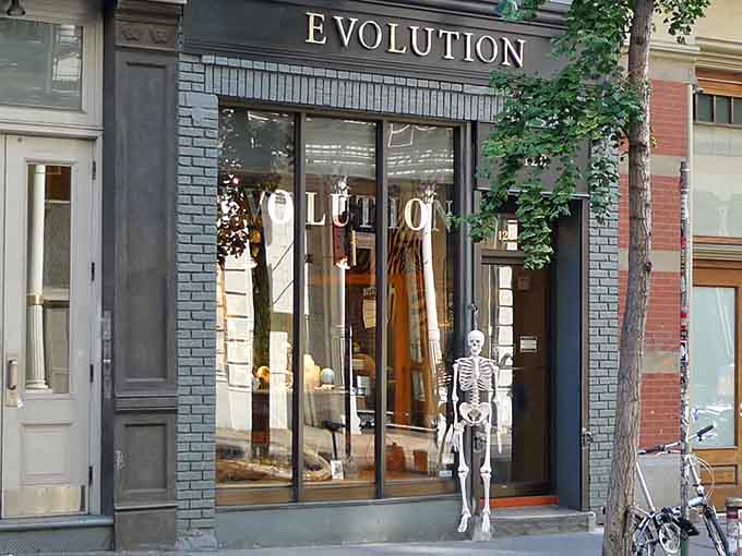 Through the window, skeletons stand guard like the world's most educational bouncers at nature's coolest nightclub.