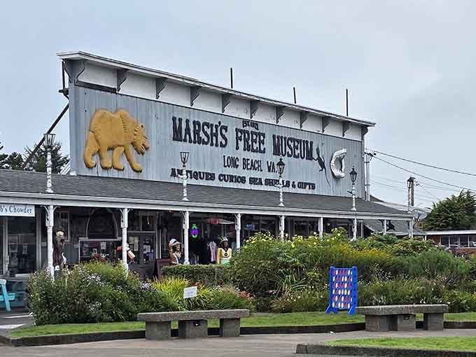 The storefront beckons with promises of treasures within, where normal shopping rules simply don't apply to anything you'll find.