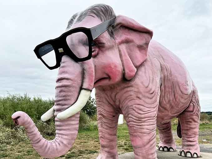 When a pink elephant wearing sunglasses is your landmark, you know you're in the right place.