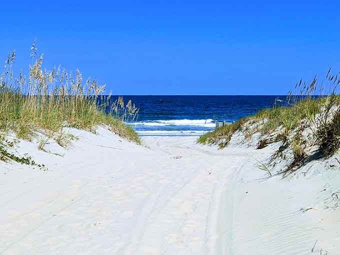 When sea oats frame your ocean view instead of beach umbrellas, you know you've found something worth the trek.