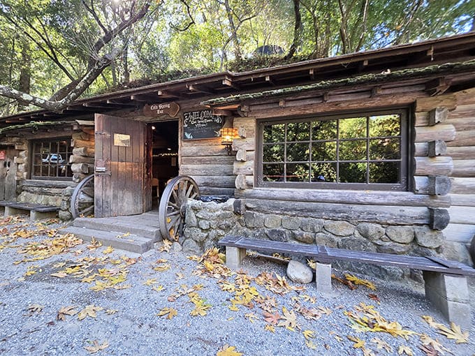 That weathered log cabin exterior isn't a movie set&mdash;it's the real deal, complete with wagon wheels and century-old charm.