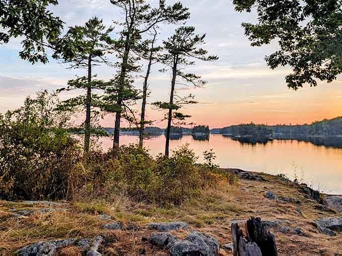 Golden hour at Wellesley Island hits different when you're perched on ancient rock watching nature's light show unfold.