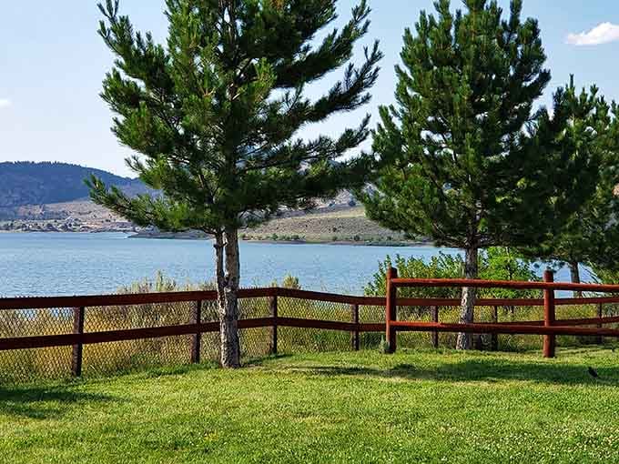 Nothing says "peaceful afternoon" quite like a lakeside lawn where the biggest decision is nap or picnic.