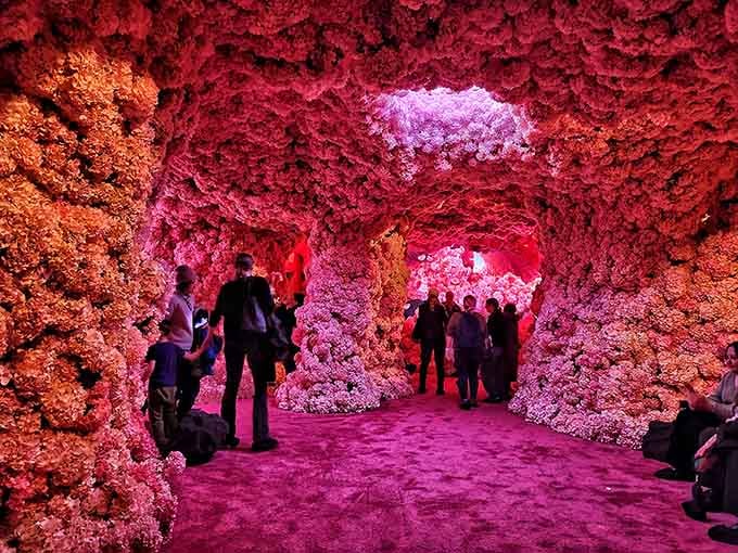 Walking through this crystalline cave feels like discovering a secret grotto on another planet entirely.