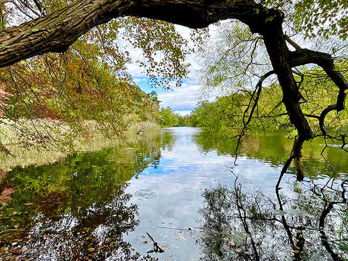 When the water mirrors the sky this perfectly, you start questioning which way is up.