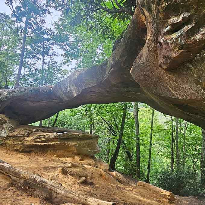 Mother Nature's been showing off for millions of years, and this sandstone arch proves she's got serious architectural skills.