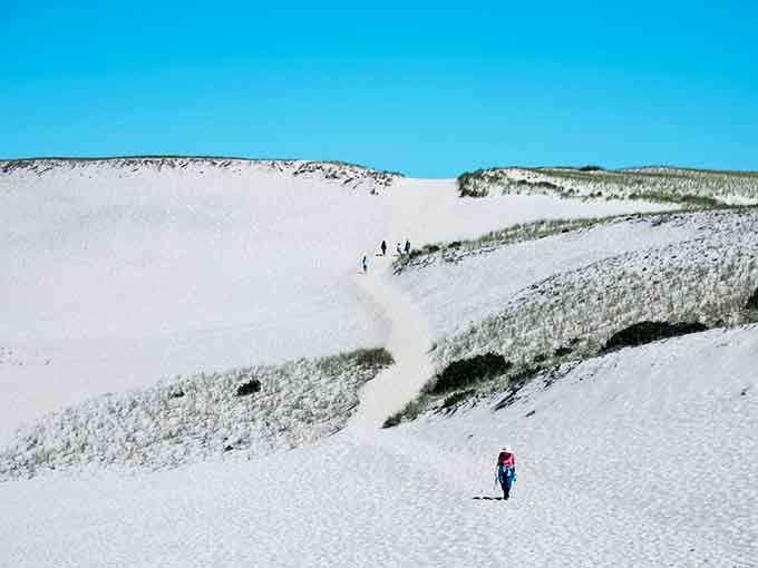 When Massachusetts decides to cosplay as the Sahara, it commits fully to the bit.