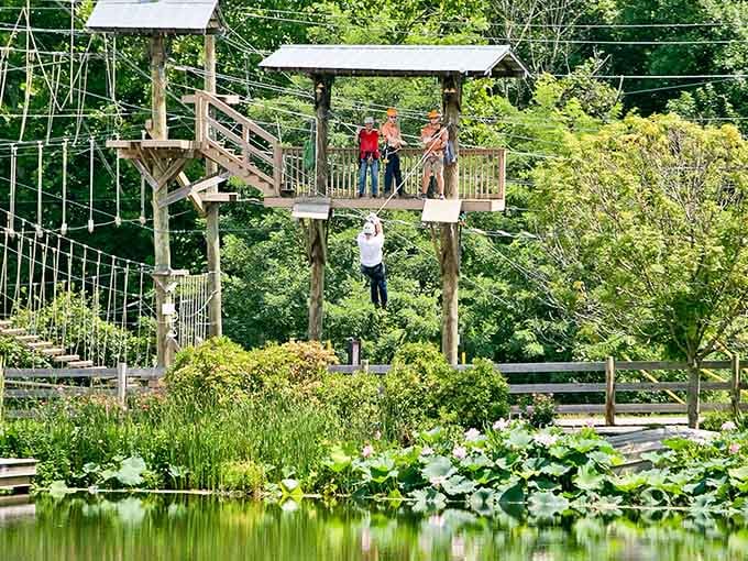 The adventure begins where the lily pads end, and your comfort zone officially takes a vacation.