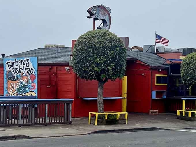 That giant fish sculpture isn't just decoration, it's a promise of the seafood treasures waiting inside this coastal gem.