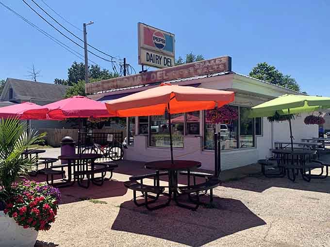 Those colorful umbrellas aren't just for show; they're your frontline defense against Kentucky sunshine while you enjoy paradise.